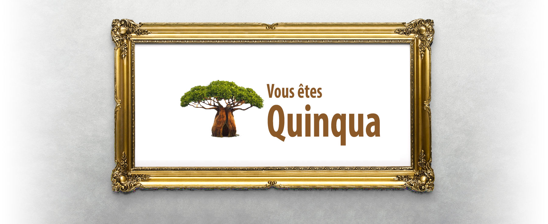 Quinqua | Organisation & Gestion de Patrimoine